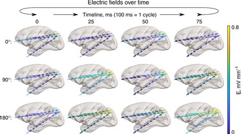 Electric Fields In The Brain Over Time During Tes For A Given