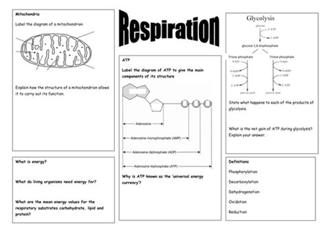 Respiration Revision Summary Teaching Resources