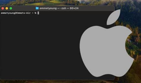 Macos Pi My Life Up