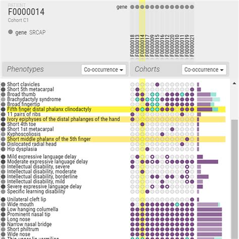 Phenostacks Cross Sectional Cohort Phenotype Comparison Visualizations