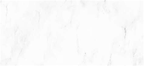 고해상도 흰색 카라라 대리석 돌 질감입니다 추상 흰색 대리석 배경과 회색 색상 프리미엄 벡터