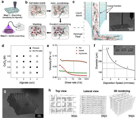Microfluidic Bioprinting Of Heterogeneous 3d Tissue Constructs Using Low Viscosity Bioink Pmc