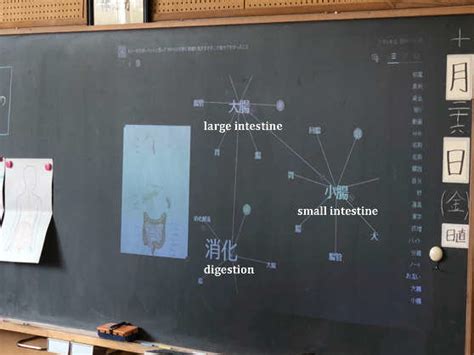 A Demonstration Of Human Body Lecture Download Scientific Diagram