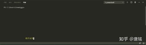 移除vscode集成终端启动时显示的多余信息 知乎