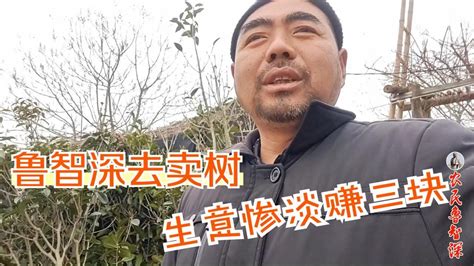 农民鲁智深朱口镇上卖树，一天卖了1棵，赚了3块钱，生意太惨淡了【农民鲁智深】 Youtube