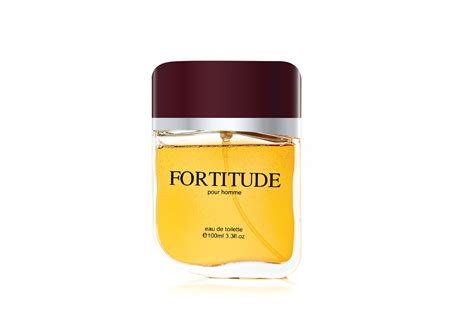 FORTITUDE on Behance