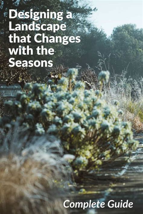 Design a Four-Season Landscape: An Expert Guide to Year-Round Garden Beauty
