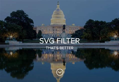 svg filters max riffner