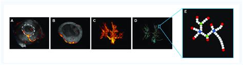 Virtual Reality Segmentation And Skeletonization Of Three Dimensional