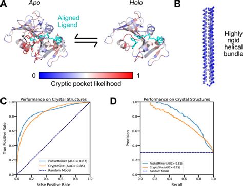 Predicting Locations Of Cryptic Pockets From Single Protein Structures