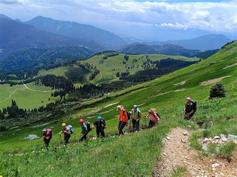 Enodnevno PreČenje KoŠute
