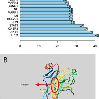 The Network Pharmacology And Molecular Docking Techniques Employed In Download Scientific
