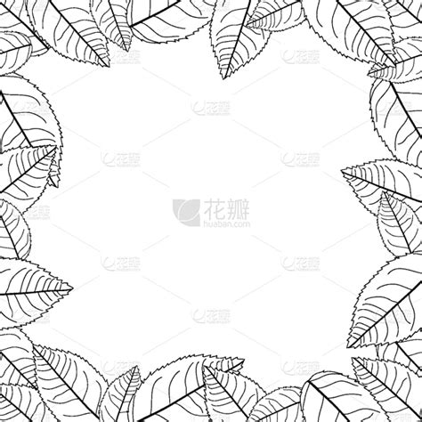 轮廓叶子茶花国境线边框分离着色白色自然华丽的常春藤图片树叶图片素材 花瓣网