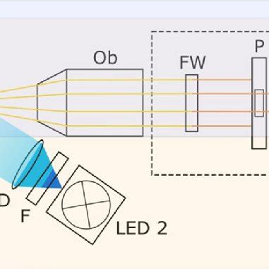 Schematic Diagram Of The OPT Setup With Both Transmission BF OPT And Download Scientific
