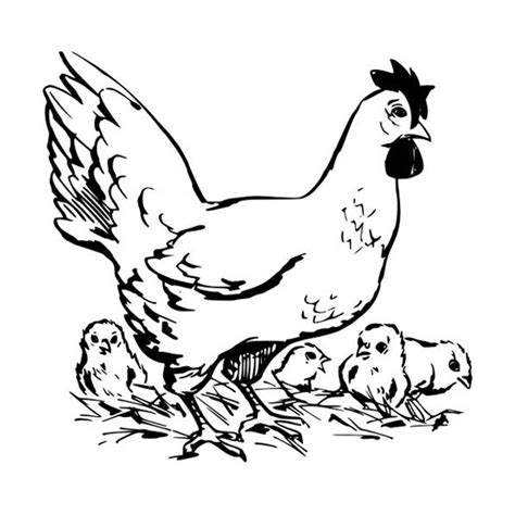 Курица с цыплятами