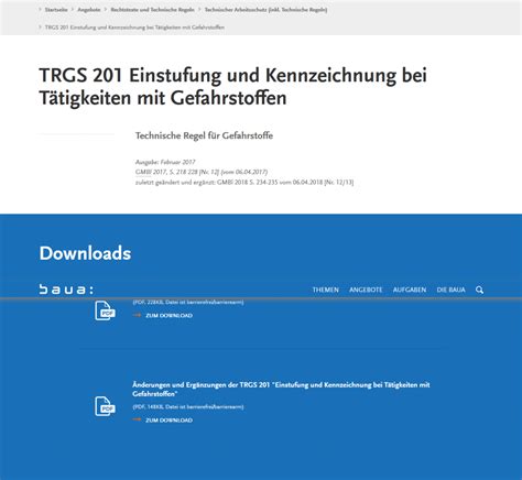 TRGS 201 geändert und ergänzt DpS