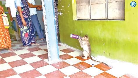சோளிங்கர் அரசு மருத்துவமனையில் 1 லிட்டர் பாட்டில் தண்ணீர் குடித்து