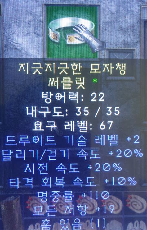 드루이드 뚜껑 쓸만한건가요 디아블로2 득템and자랑 게시판 디아블로2 인벤