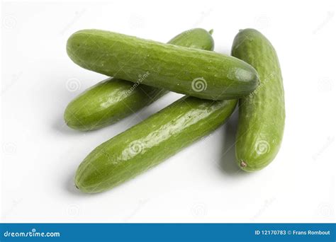 Two Small Cucumbers Growing Inside A Private Greenhouse With A Shelf Full With Terracotta Pots