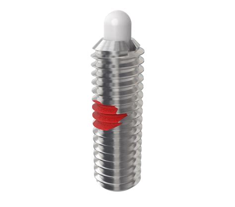 Stainless Steel Spring Plungers