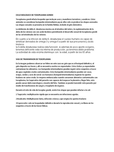 Ciclo Biologico De Toxoplasma Gondii Pdf