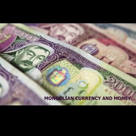 1072 хувьцааны Ноогдол ашиг Ulaanbaatar