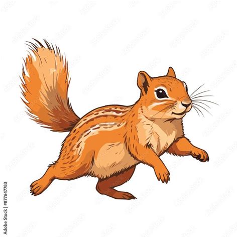 Squirrel Jumping Cartoon Illustration Squirrel Illustration Squirrel