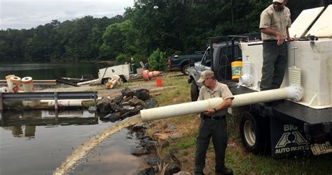 Largemouth Bass Production And Stocking Georgia Wildlife Blog