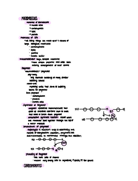 Chapter 5 Macromolecules Macromolecules Monomersofbiomolecules