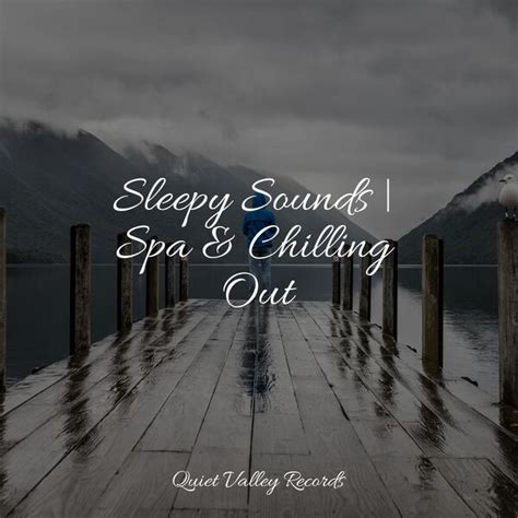 Sleepy Sounds Spa Chilling Out Rélaxation Qobuz