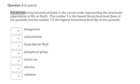 Solved Put The Following Hierarchical Levels In The Correct
