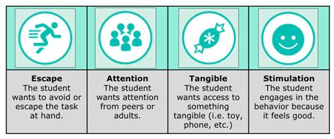 Behavior Basics Behavior Assistance