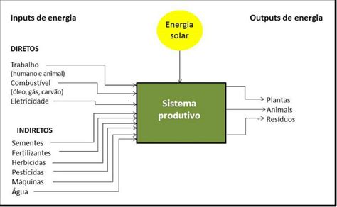 Esquema De Inputs E Outputs De Energia Num Sistema Agrícola Fonte