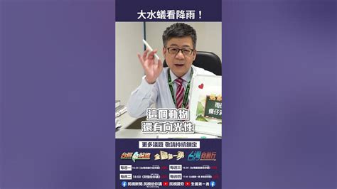 大水蟻看降雨！？｜阿愷佮你講 Ep19精華 Youtube