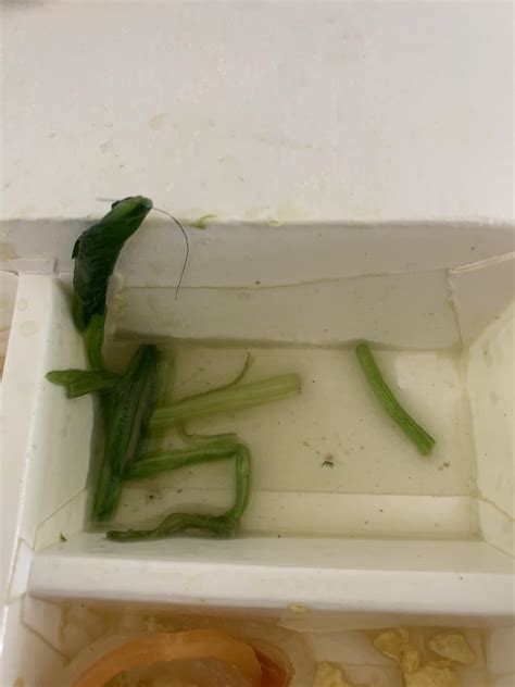 爆怨2公社 吃到一半發現一根腋毛懶毛🤮