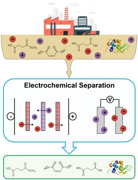 Electrochemical Separations For Biomanufacturing Published In Emerging Stars Issue Of CERD Su