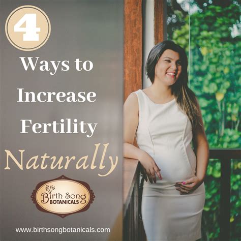 Four Ways To Increase Fertility Naturally Birth Song Botanicals Co
