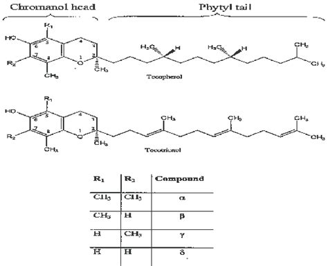 Structure Of Tocopherols And Tocotrienols Download Scientific Diagram