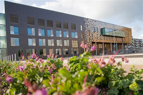 New Qeii Hospital Cips Ltd Project