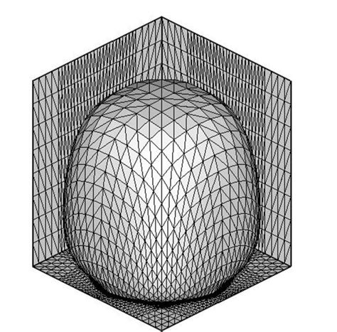Details Of The Mesh In A Symmetric Case Created With Our Methodology Download Scientific