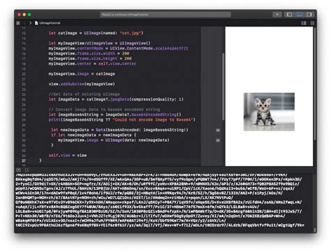UIImage Base Encoding And Decoding In Swift Apps Developer Blog