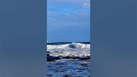 제주도 파란 바다가의 거친 파도 소리 Asmr Youtube