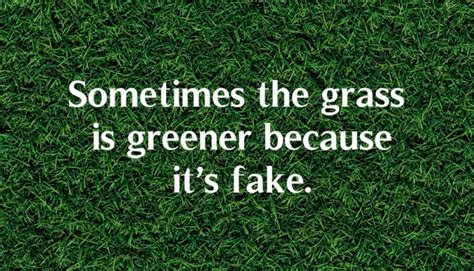 Sometimes The Grass Is Greener Because Its Fake Love Wide Open