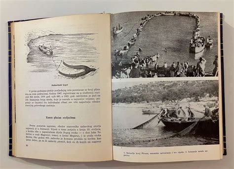 Josip Basioli Ribarstvo Na Jadranu