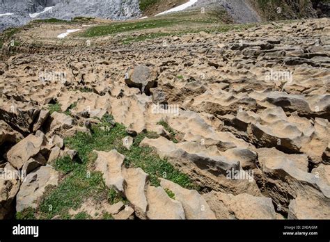 Natural Labyrinth Hi Res Stock Photography And Images Alamy