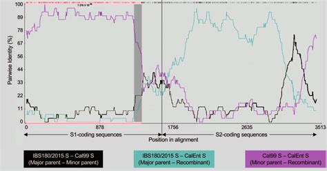 Rdp Analysis Showing A Putative Recombination Event Between A Virus