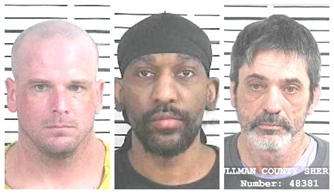 Ccso Arrest Roundup The Cullman Tribune