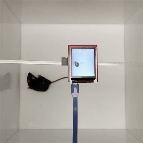 Rodent Arena Tracker RAT Hackaday Io