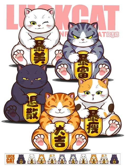 招吉猫 招财猫系列 开运暴富大吉大利 小红书 花瓣网