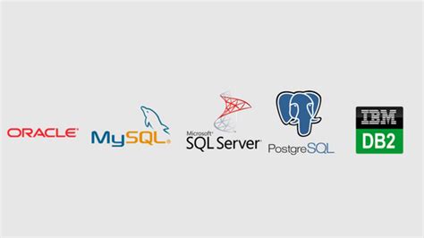 Automate Your Data Analysis Workflow — Database Setup By Renee Lin